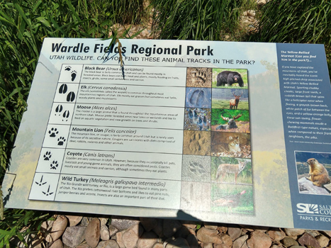Amazing Wardle Fields Park & Splash Pad - Bluffdale Utah